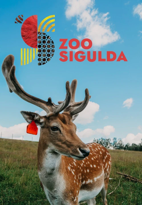 All - Biļešu Serviss